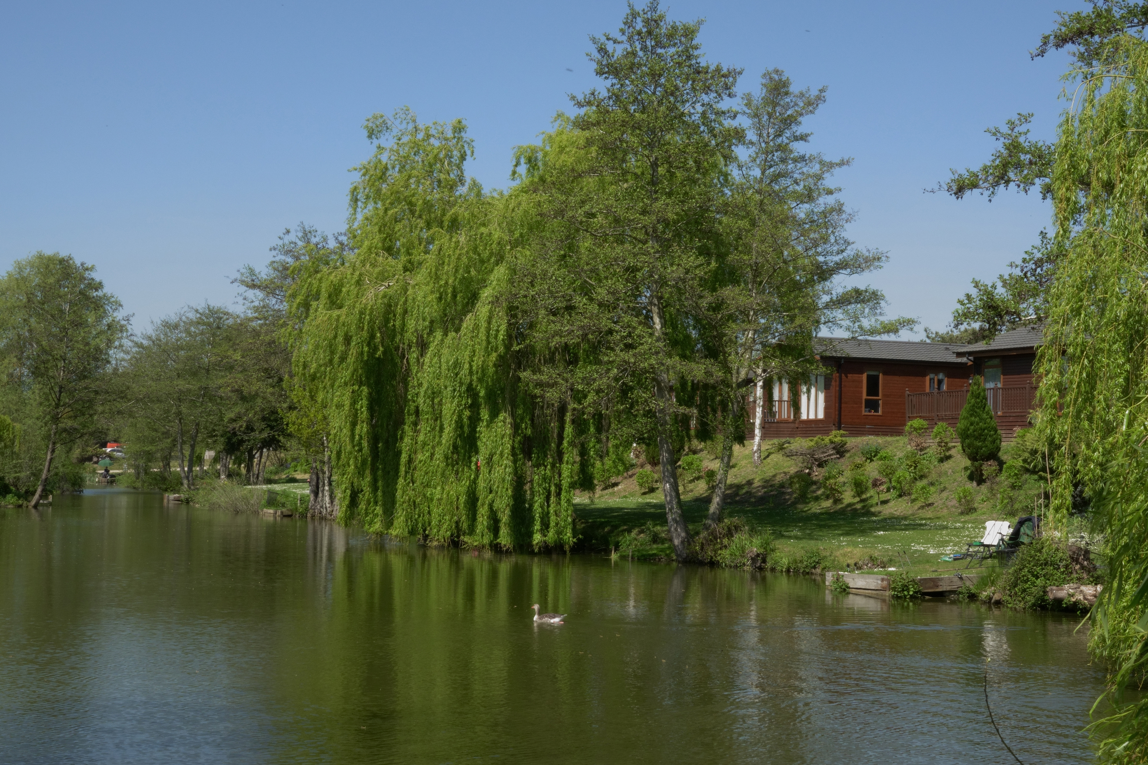 Homestead Lake Country Park - Lodges For Sale in Essex